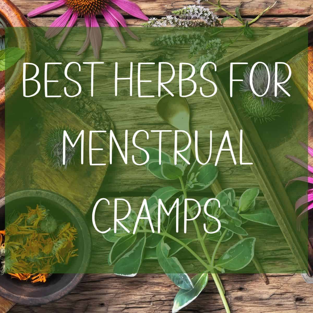 Best Herbs For Menstrual Cramps - Using Herbs & Spices Best Herbs For Menstrual Cramps - Using Herbs & Spices