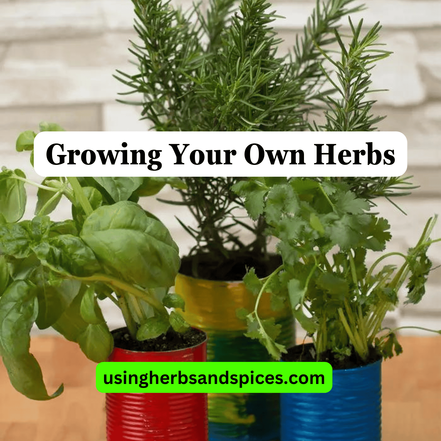 Growing Your Own Herbs - Using Herbs & Spices