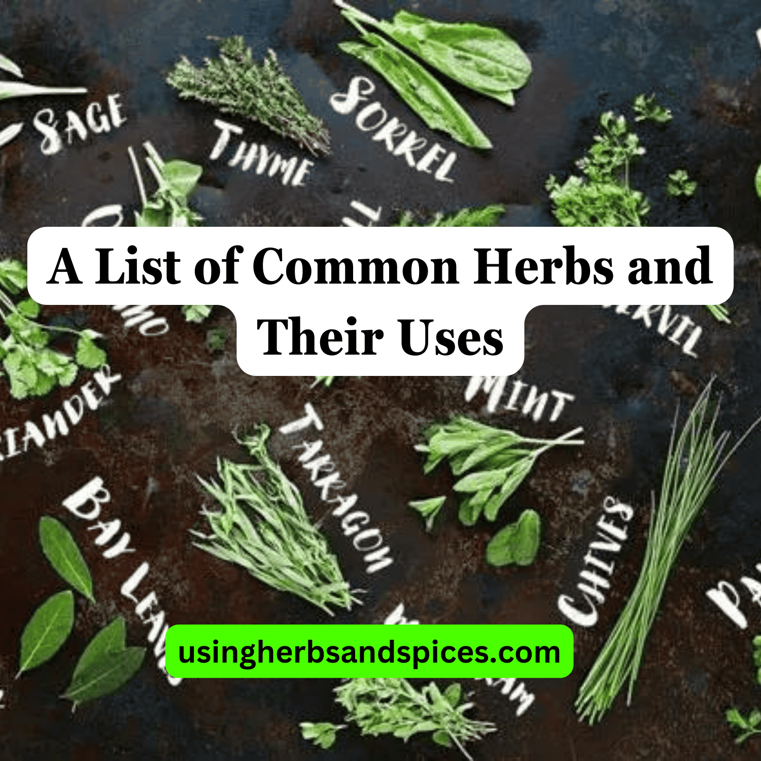 A List of Common Herbs and Their Uses - Using Herbs & Spices