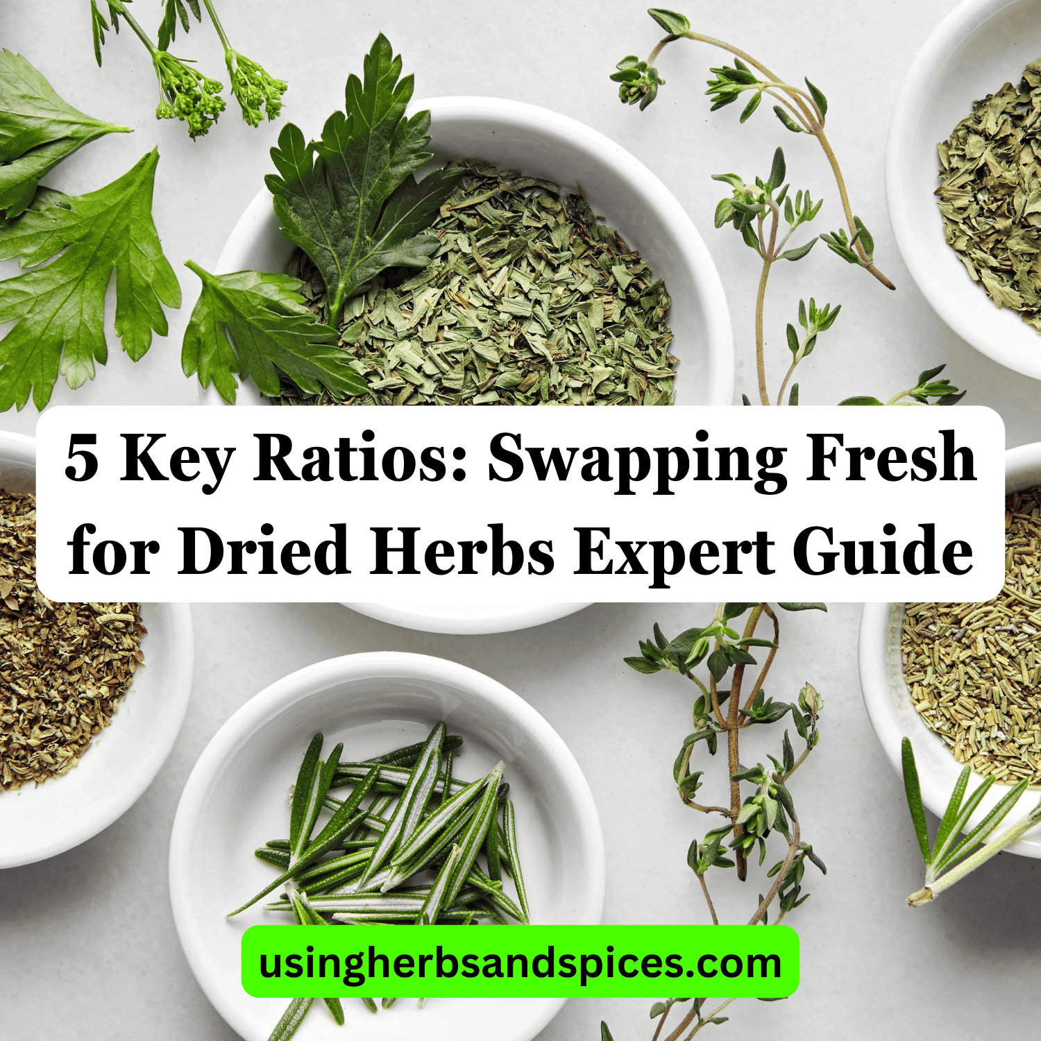 5 Key Ratios: Swapping Fresh for Dried Herbs Expert Guide - Using Herbs ...