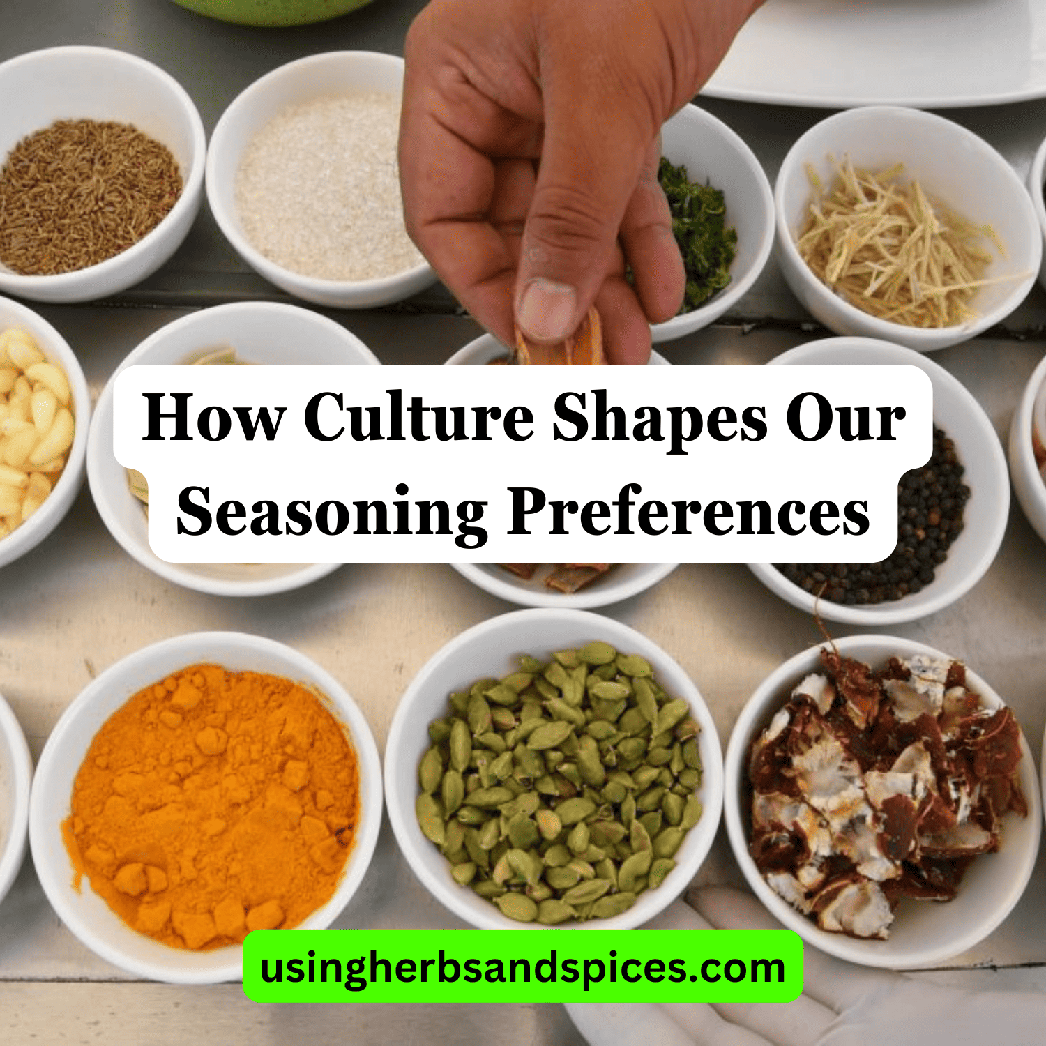 How Culture Shapes Our Seasoning Preferences - Using Herbs & Spices