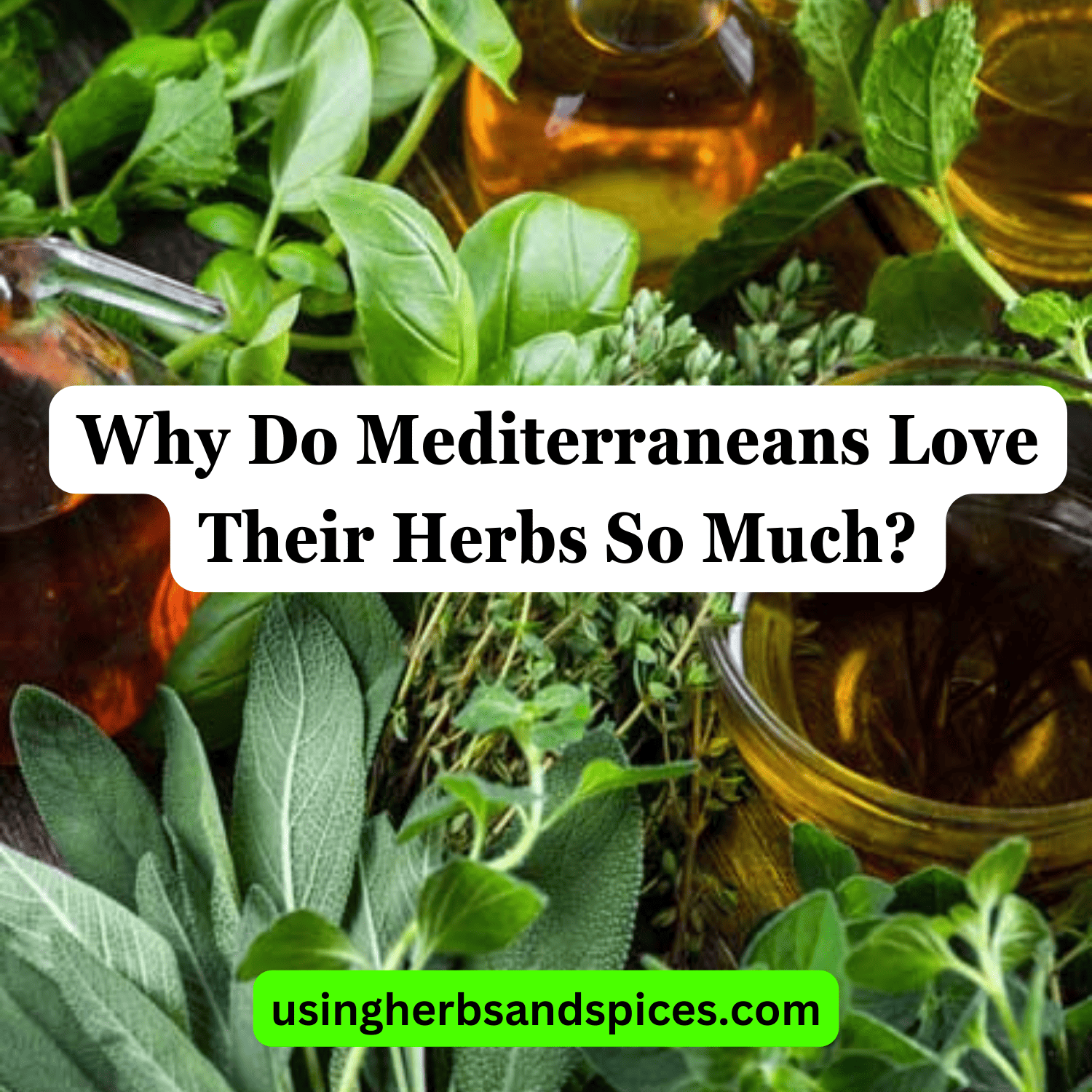 Why Do Mediterraneans Love Their Herbs So Much? - Using Herbs & Spices