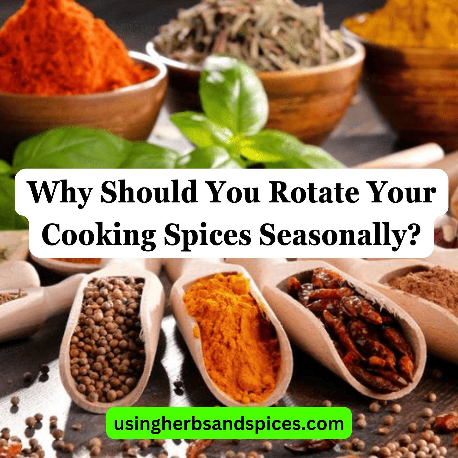 Why Should You Rotate Your Cooking Spices Seasonally? - Using Herbs ...