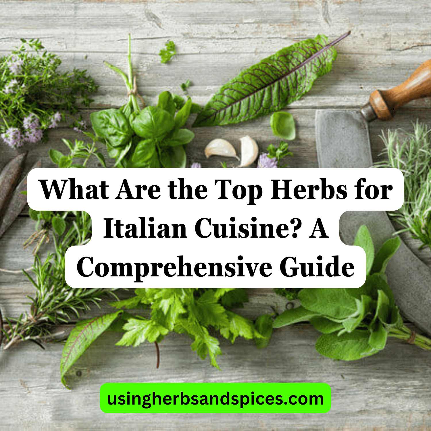 What Are the Top Herbs for Italian Cuisine? A Comprehensive Guide ...