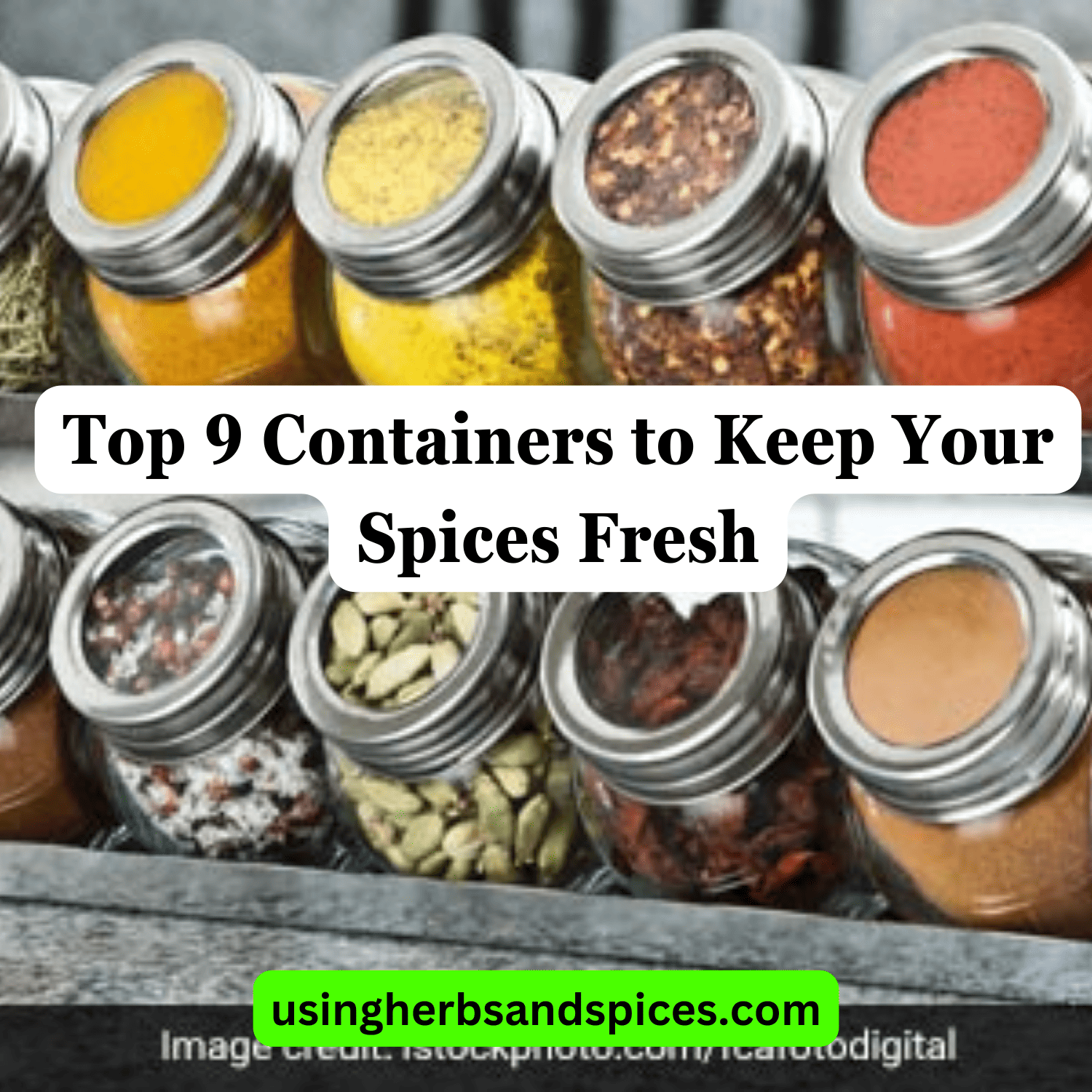 Top 9 Containers to Keep Your Spices Fresh - Using Herbs & Spices