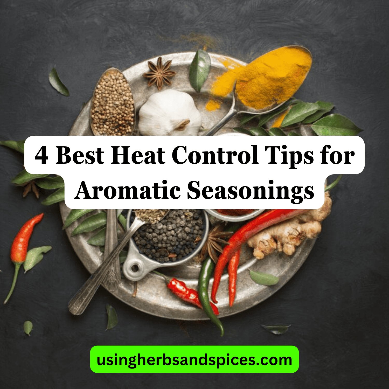 4 Best Heat Control Tips for Aromatic Seasonings - Using Herbs & Spices