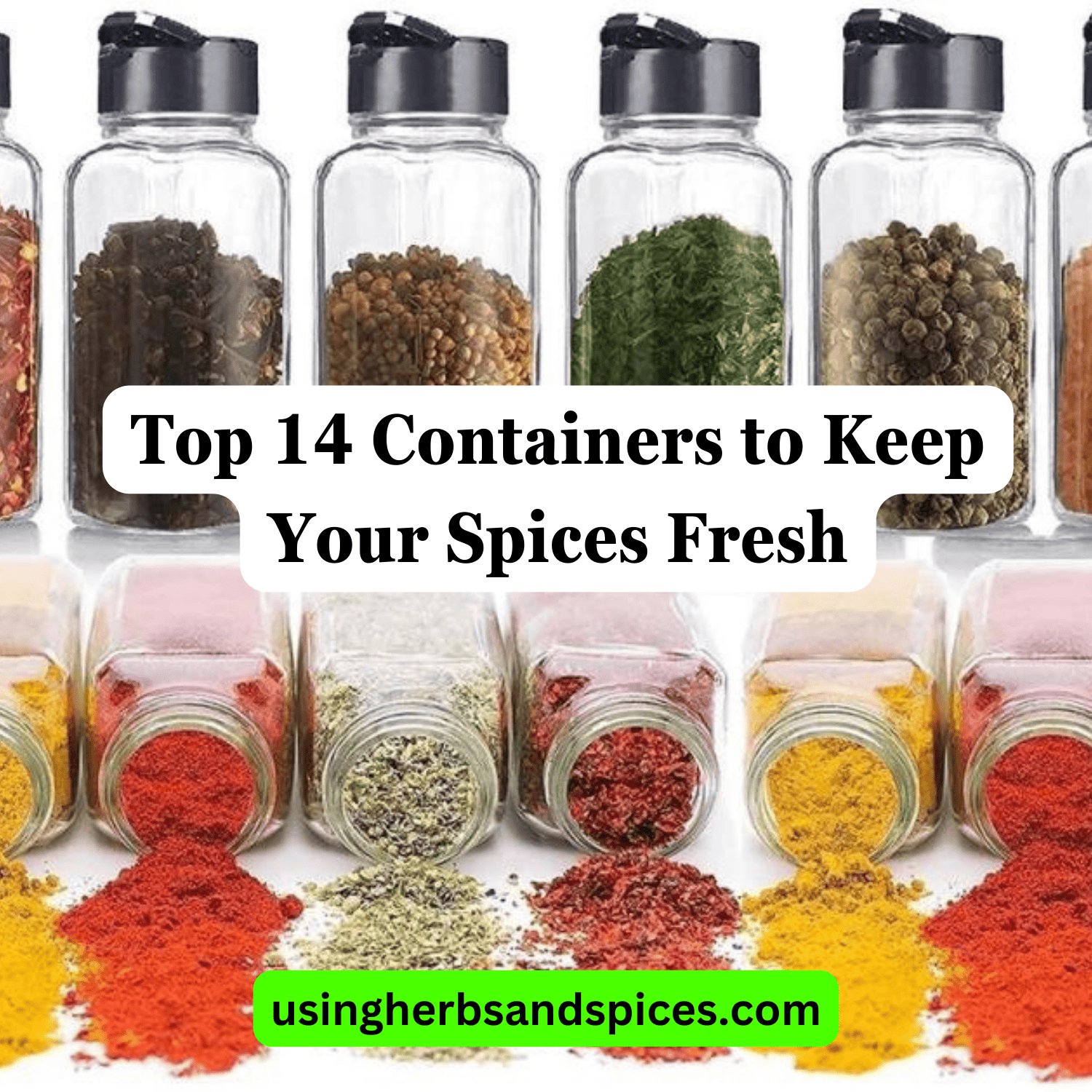 Top 14 Containers to Keep Your Spices Fresh - Using Herbs & Spices