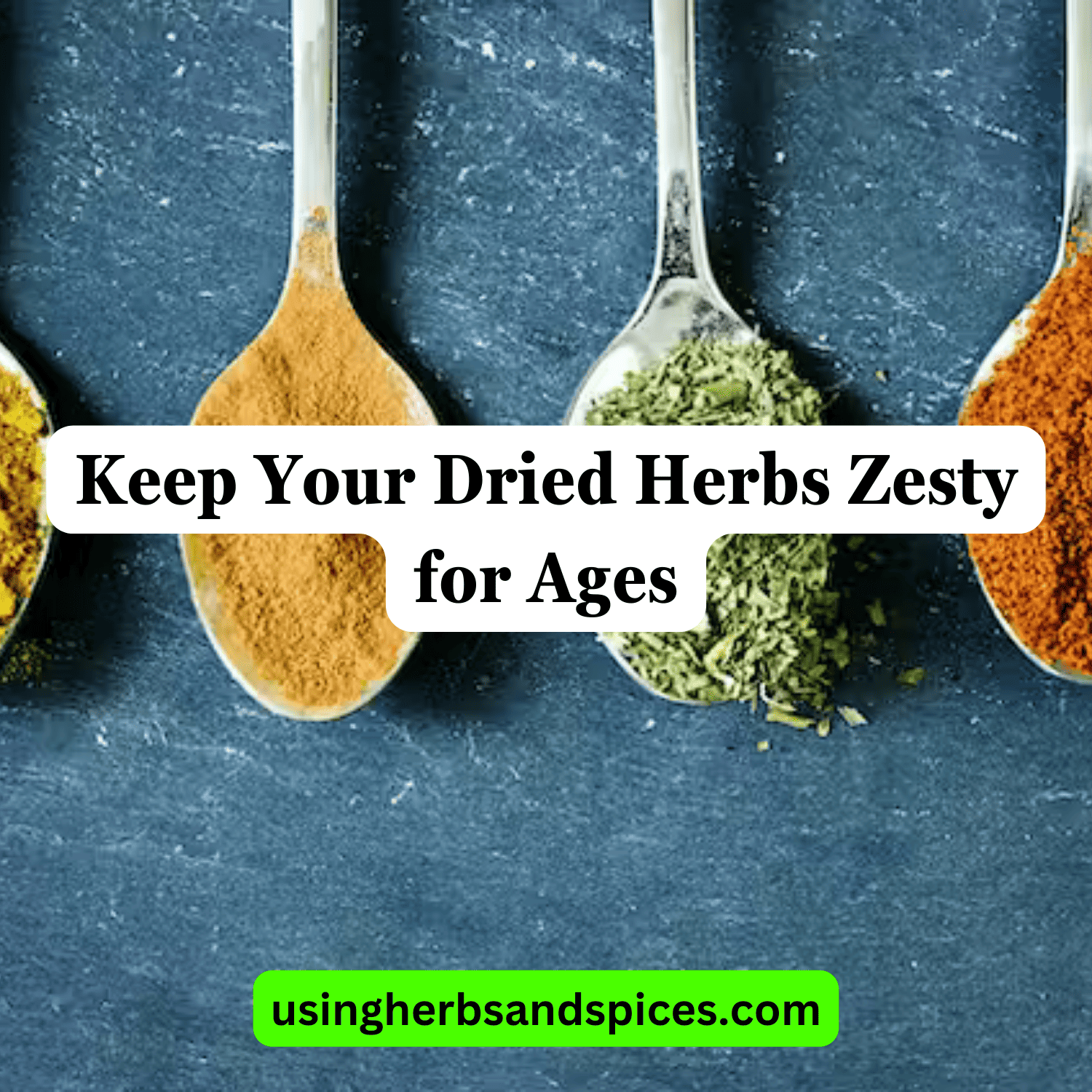 Keep Your Dried Herbs Zesty for Ages - Using Herbs & Spices