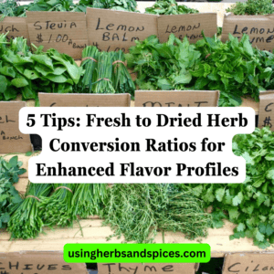 5 Tips: Fresh to Dried Herb Conversion Ratios for Enhanced Flavor ...