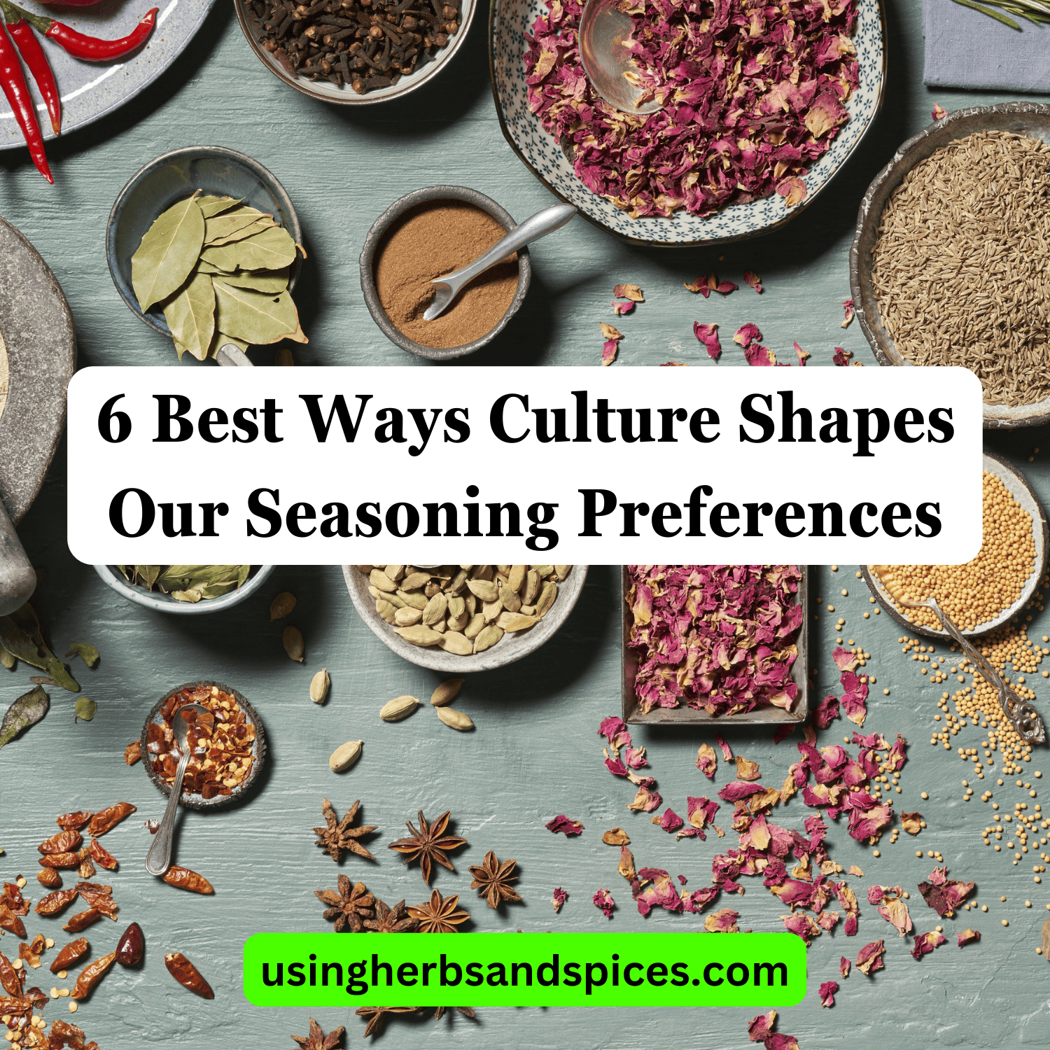 6 Best Ways Culture Shapes Our Seasoning Preferences - Using Herbs & Spices