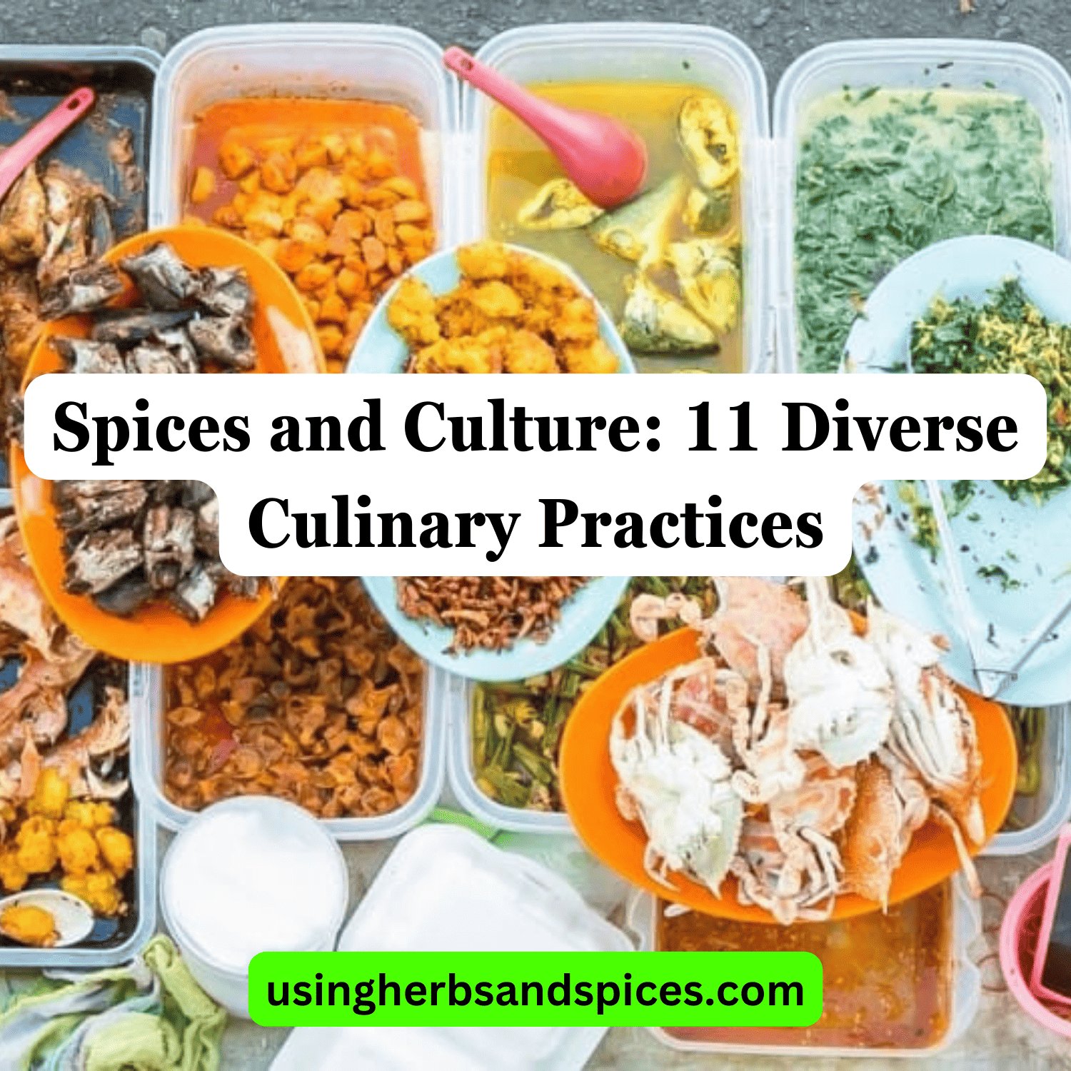 Spices and Culture: 11 Diverse Culinary Practices - Using Herbs & Spices