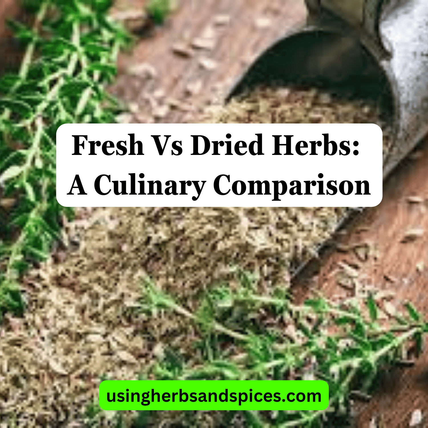 Fresh Vs Dried Herbs: a Culinary Comparison - Using Herbs & Spices