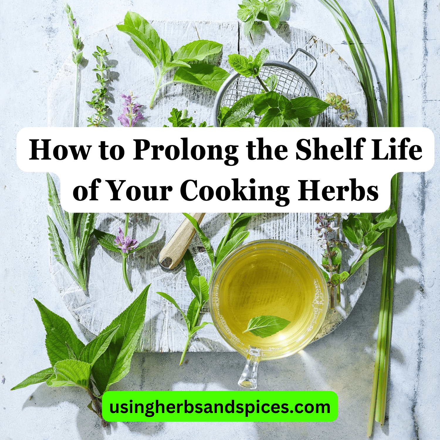 How to Prolong the Shelf Life of Your Cooking Herbs - Using Herbs & Spices