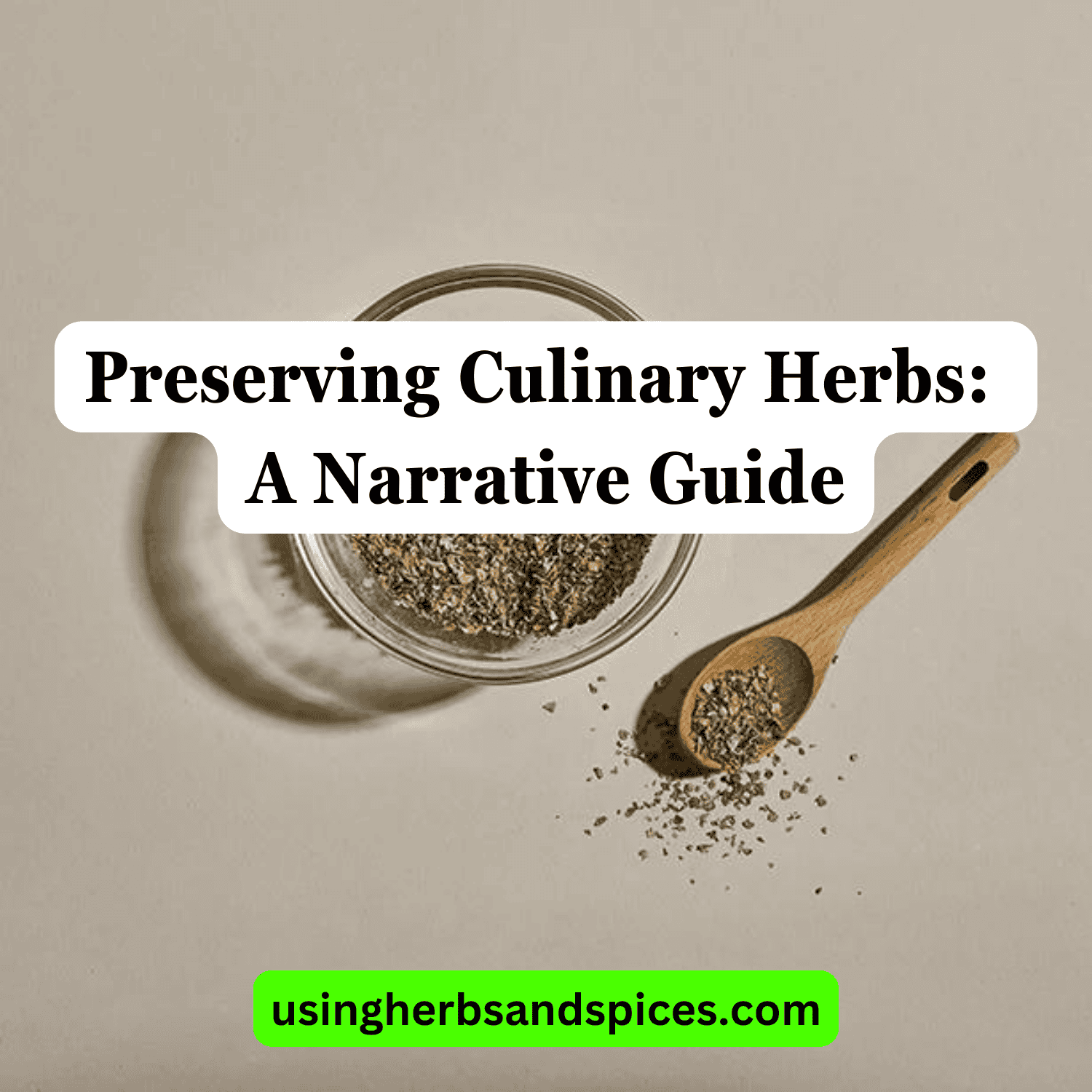 Preserving Culinary Herbs: A Narrative Guide - Using Herbs & Spices