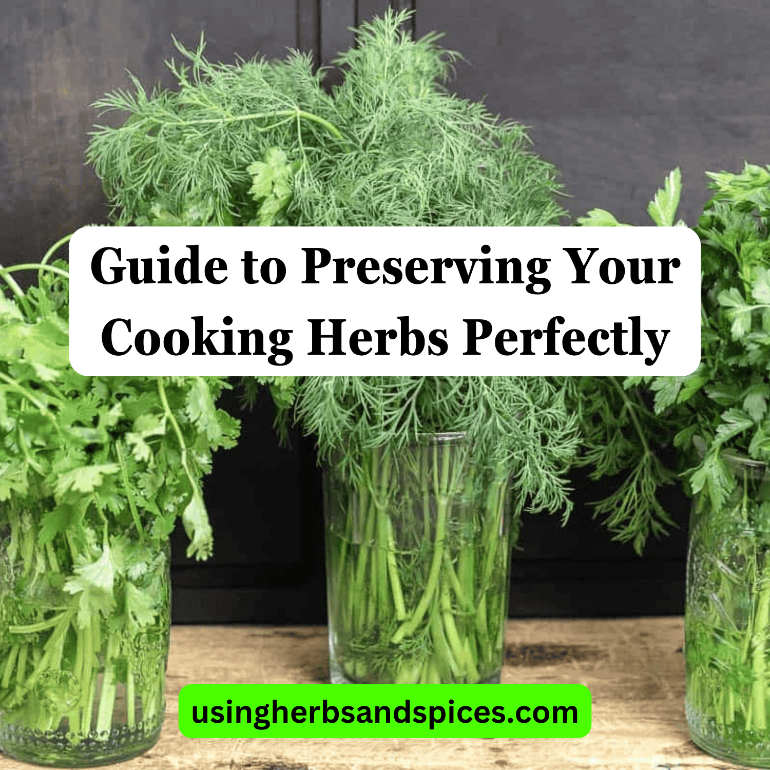 Guide to Preserving Your Cooking Herbs Perfectly - Using Herbs & Spices