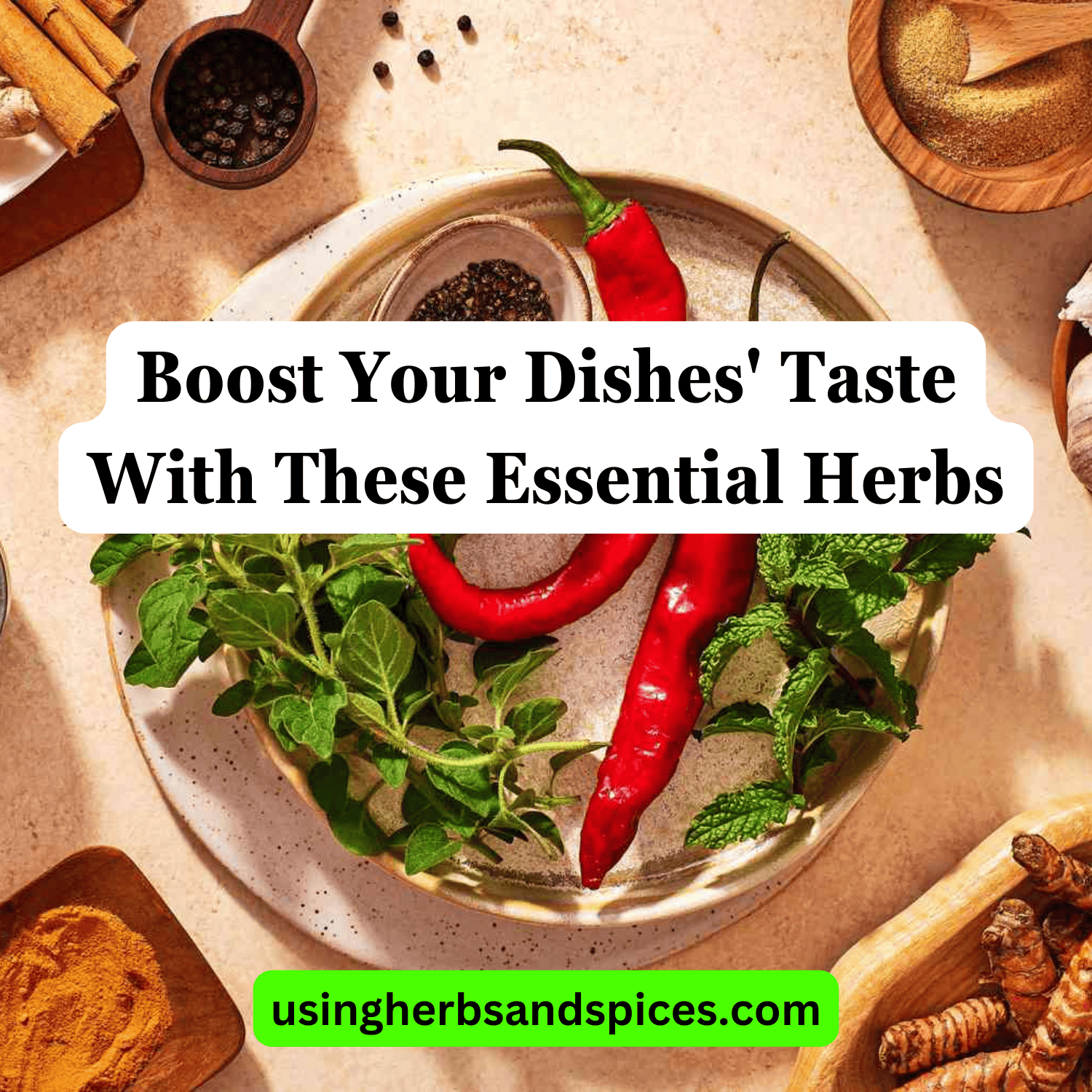 Boost Your Dishes' Taste With These Essential Herbs - Using Herbs & Spices