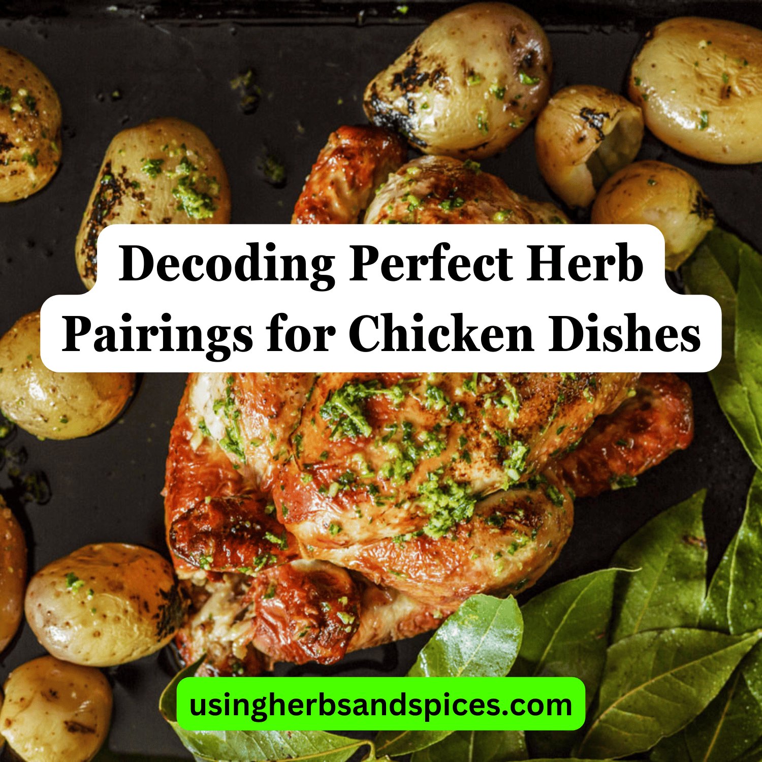 Decoding Perfect Herb Pairings for Chicken Dishes - Using Herbs & Spices