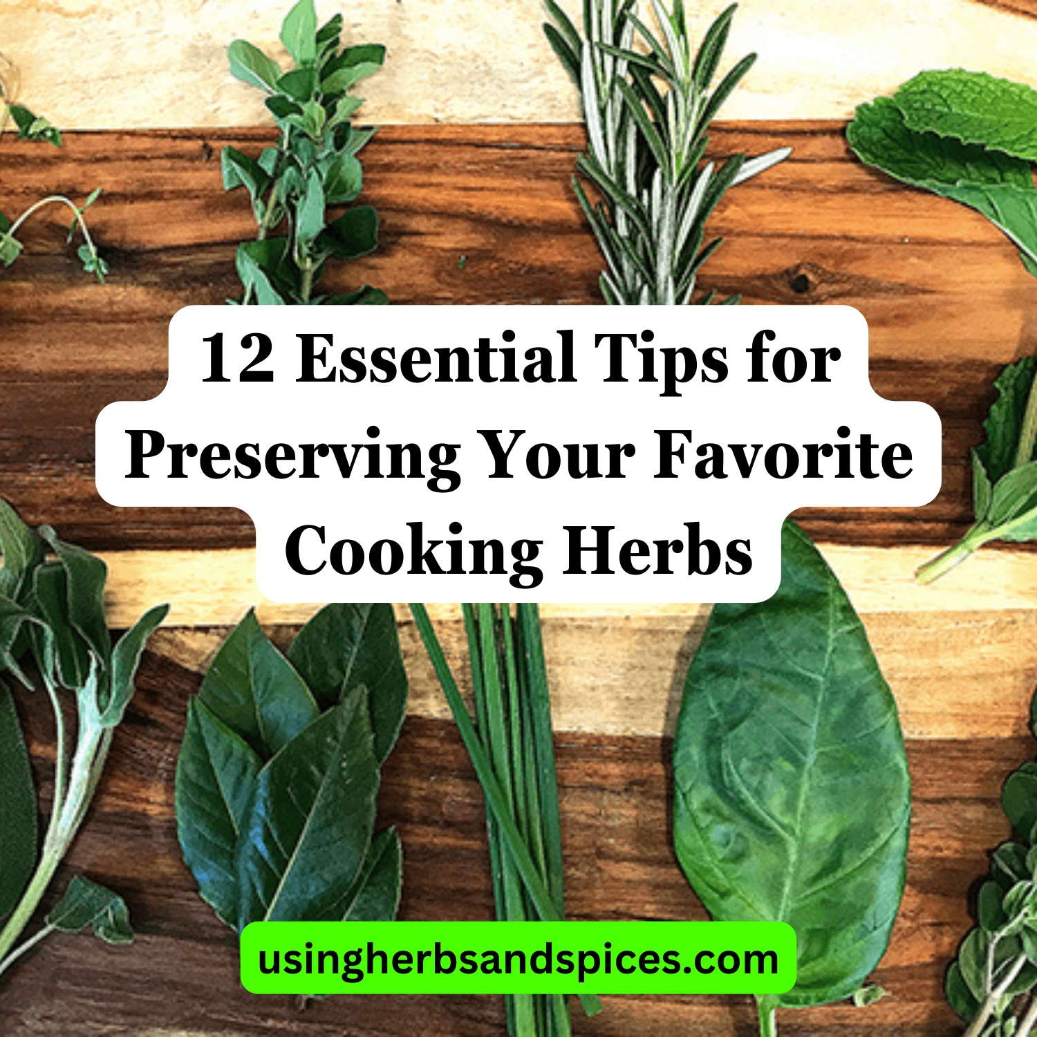 12 Essential Tips for Preserving Your Favorite Cooking Herbs - Using ...