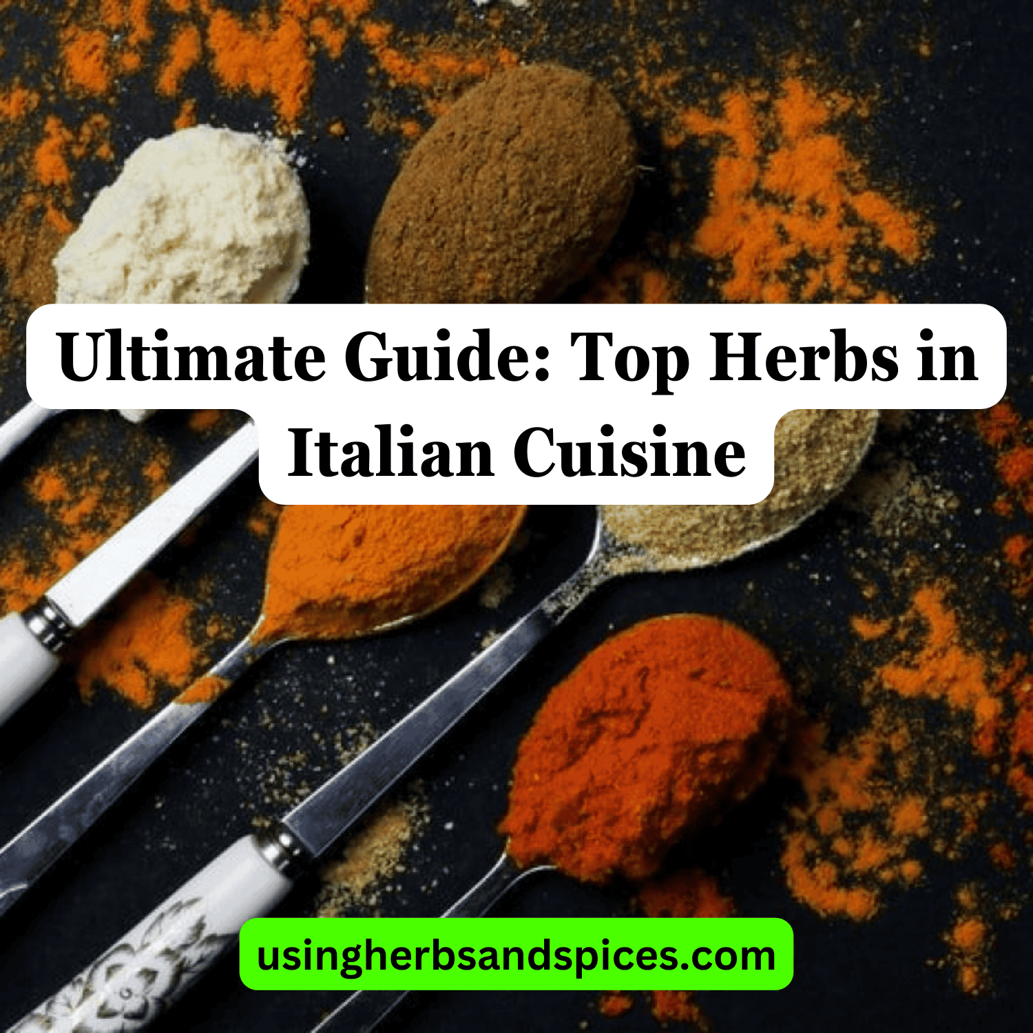 Ultimate Guide: Top Herbs in Italian Cuisine - Using Herbs & Spices