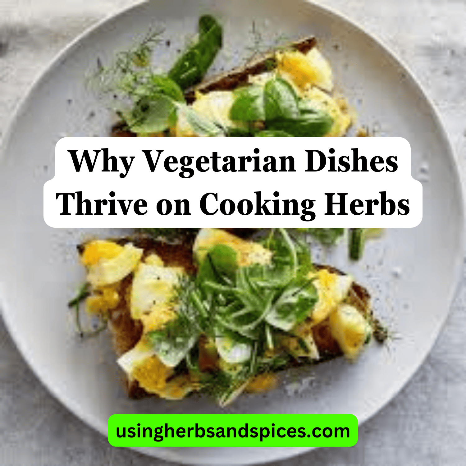 Why Vegetarian Dishes Thrive on Cooking Herbs - Using Herbs & Spices