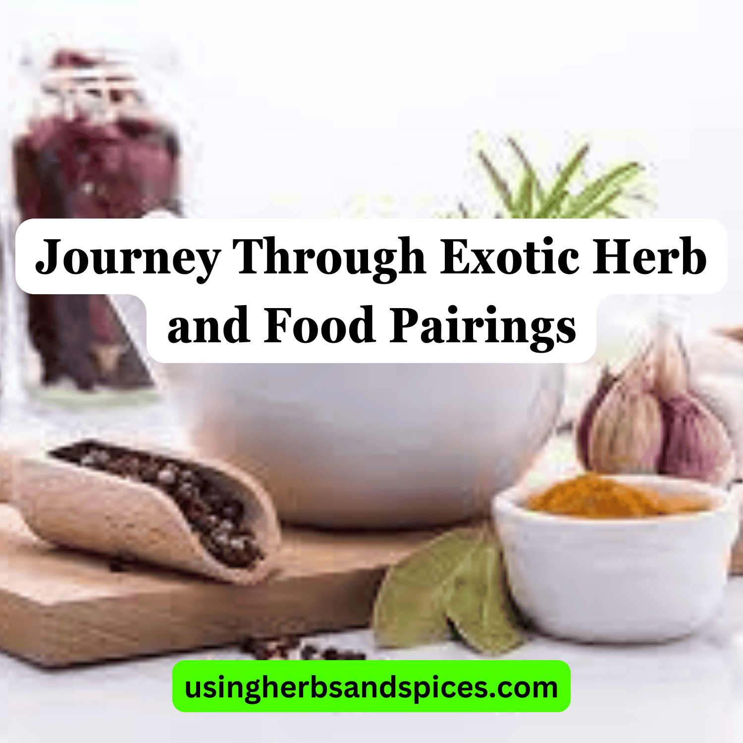 Journey Through Exotic Herb and Food Pairings - Using Herbs & Spices