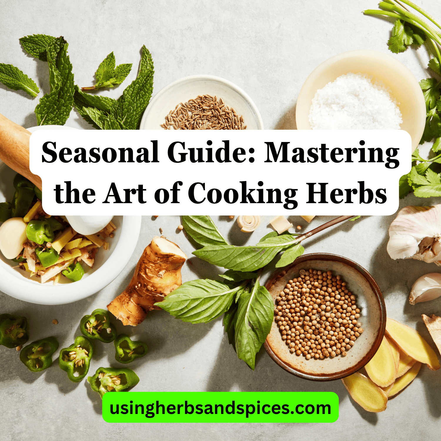 Seasonal Guide: Mastering the Art of Cooking Herbs - Using Herbs & Spices