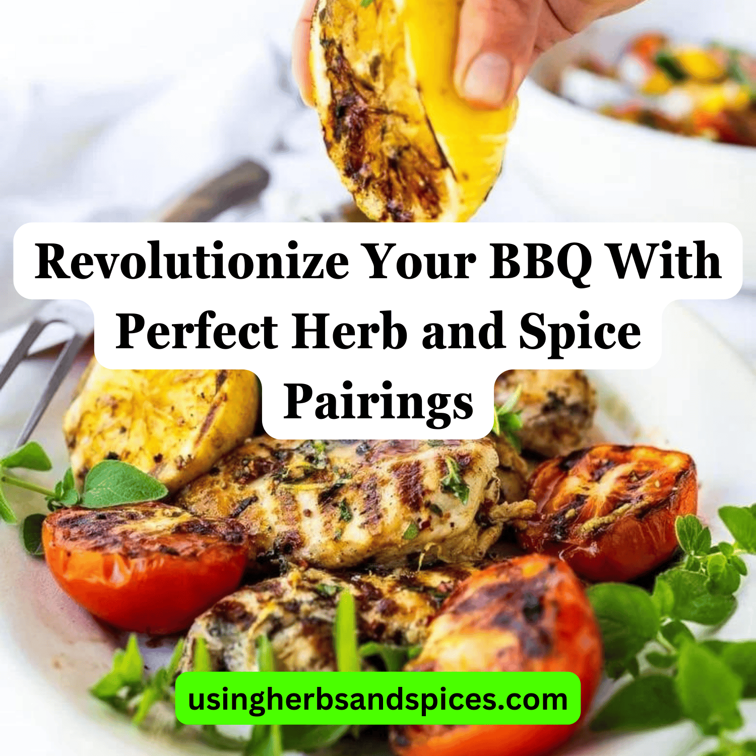 Revolutionize Your BBQ With Perfect Herb and Spice Pairings - Using ...