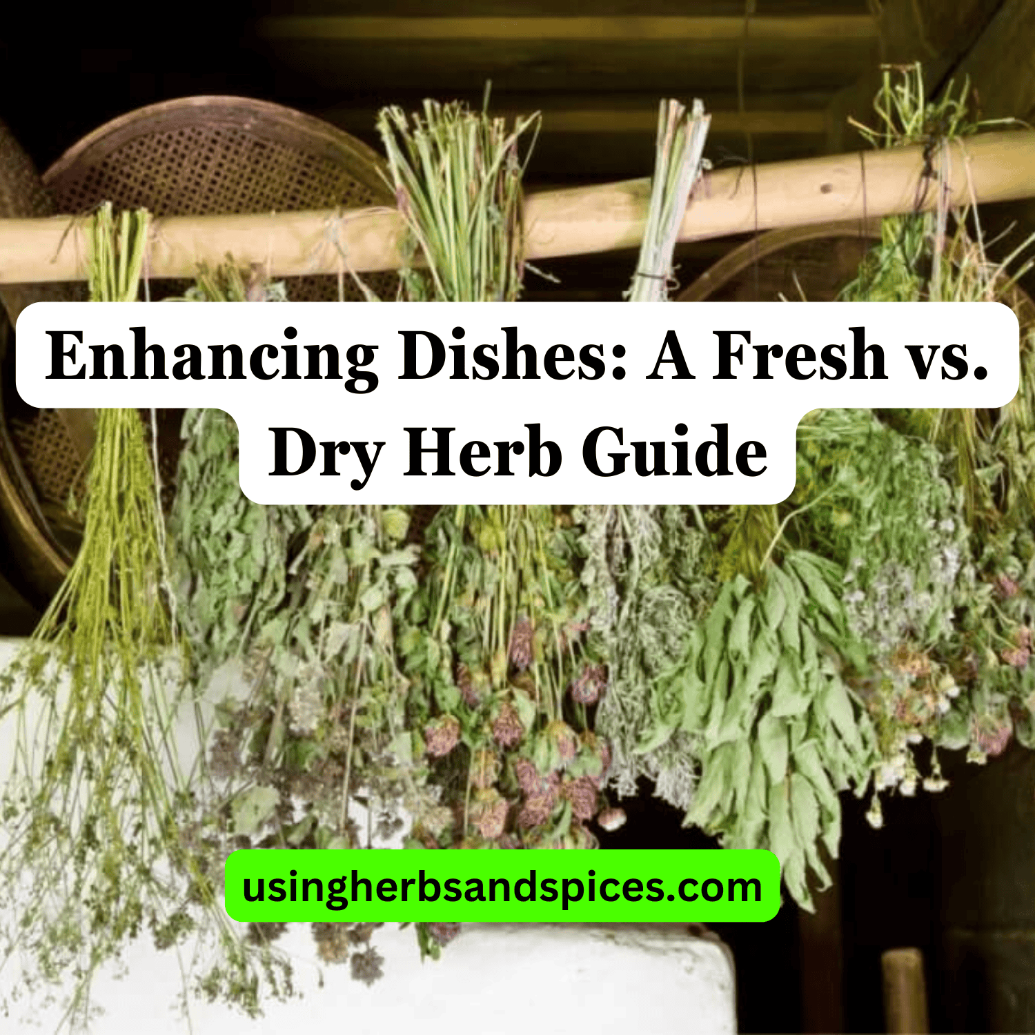 Enhancing Dishes: A Fresh vs. Dry Herb Guide - Using Herbs & Spices