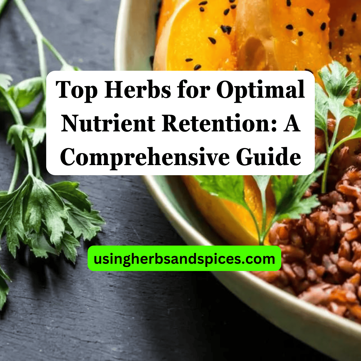 Top Herbs for Optimal Nutrient Retention: A Comprehensive Guide - Using ...
