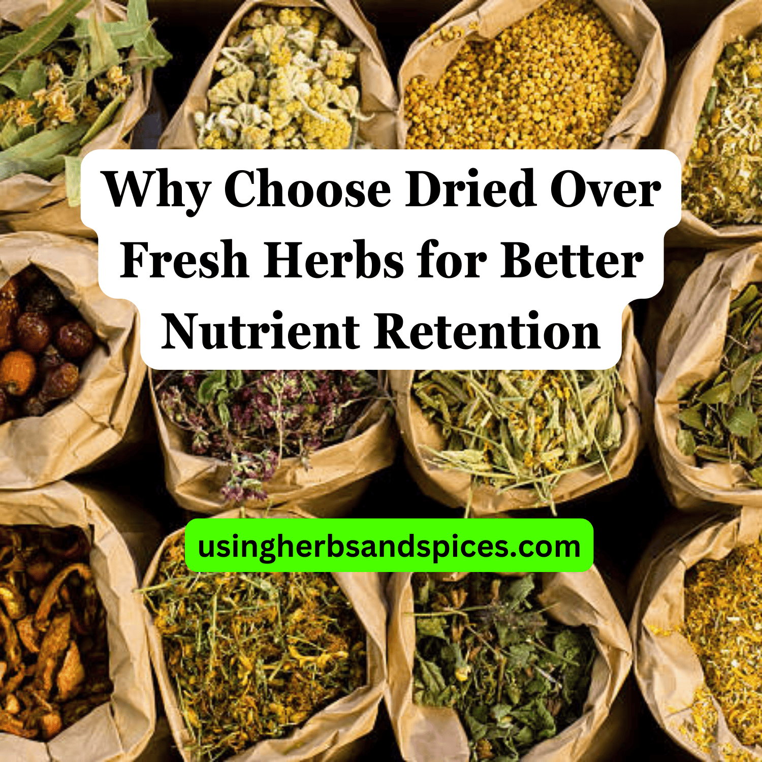Why Choose Dried Over Fresh Herbs for Better Nutrient Retention - Using ...