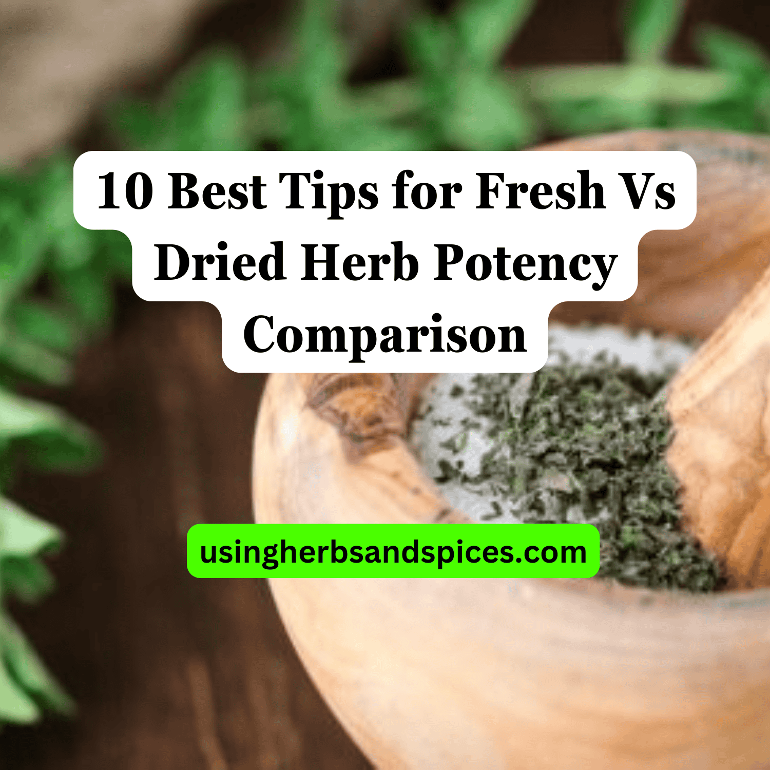 10 Best Tips for Fresh Vs Dried Herb Potency Comparison - Using Herbs ...