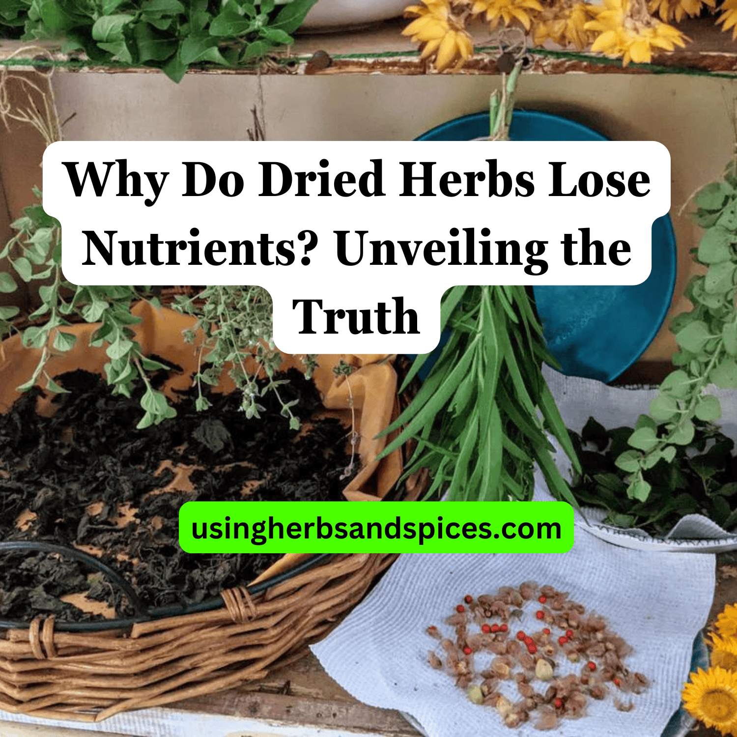 Why Do Dried Herbs Lose Nutrients? Unveiling the Truth - Using Herbs ...