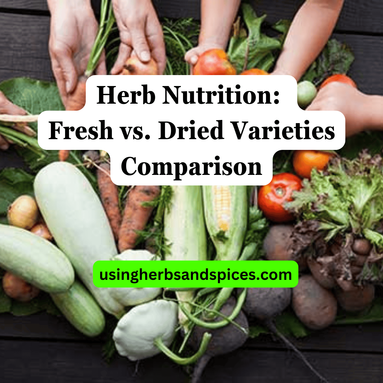 Herb Nutrition: Fresh vs. Dried Varieties Comparison - Using Herbs & Spices