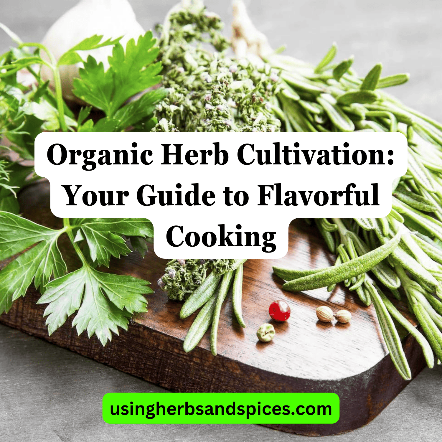 Organic Herb Cultivation: Your Guide to Flavorful Cooking - Using Herbs ...