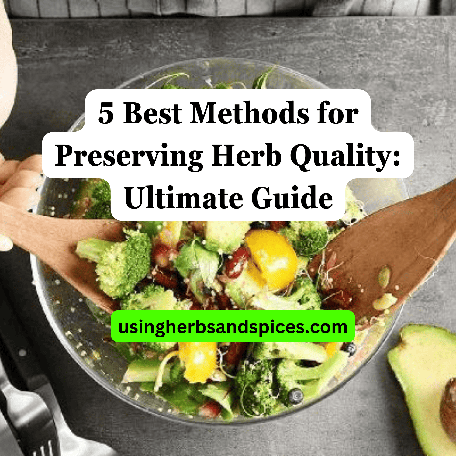 5 Best Methods for Preserving Herb Quality: Ultimate Guide - Using ...