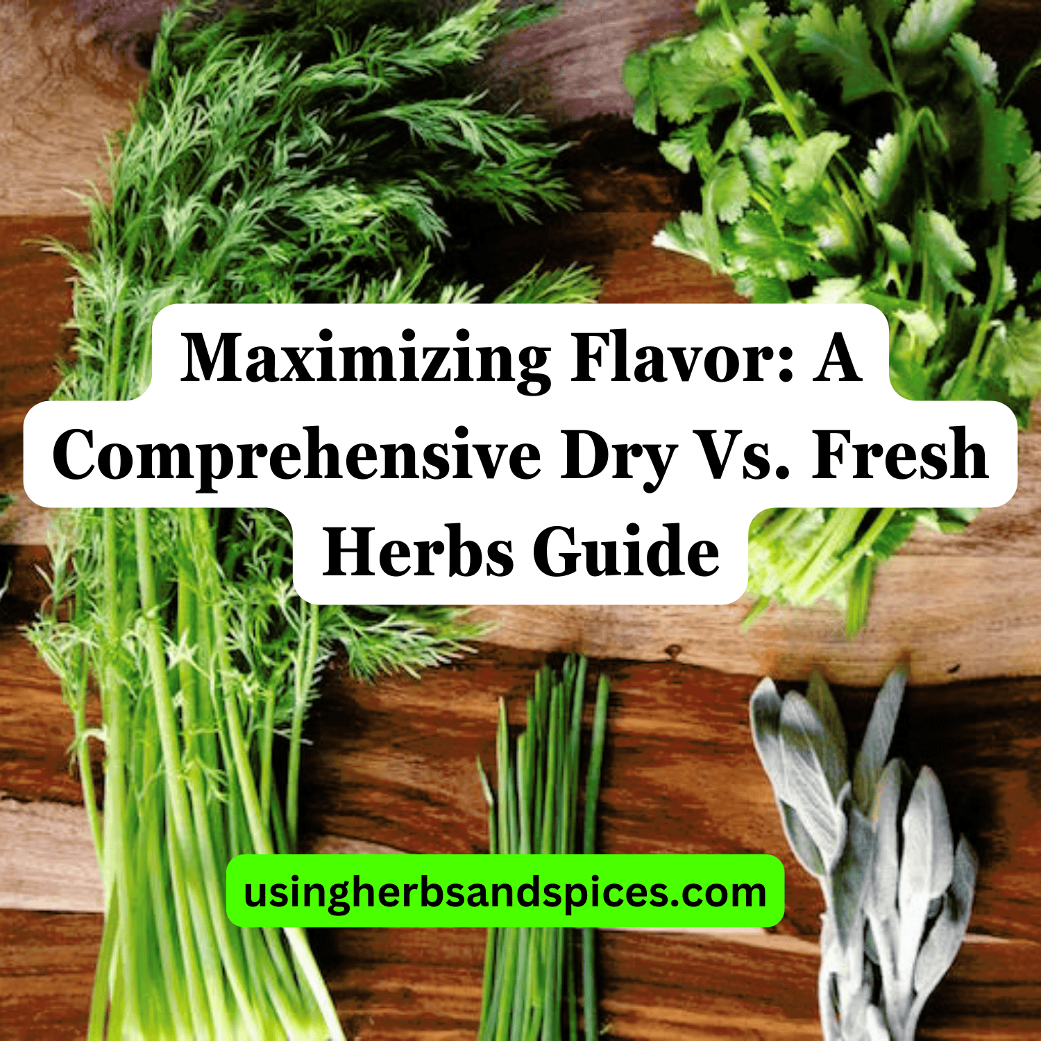 Maximizing Flavor: A Comprehensive Dry Vs. Fresh Herbs Guide - Using ...