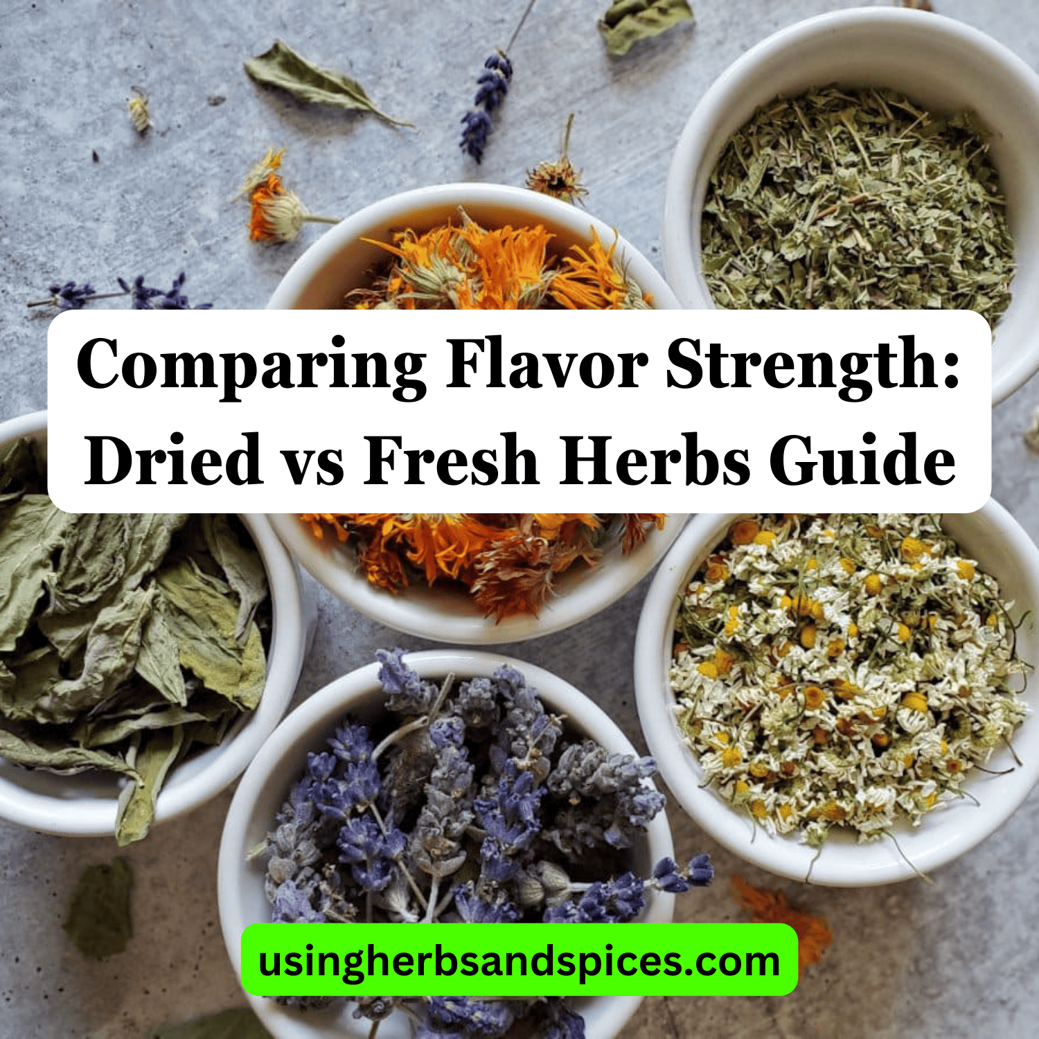 Comparing Flavor Strength: Dried vs Fresh Herbs Guide - Using Herbs ...