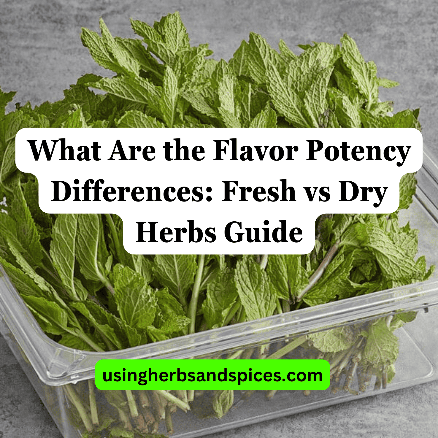 What Are the Flavor Potency Differences: Fresh vs Dry Herbs Guide ...