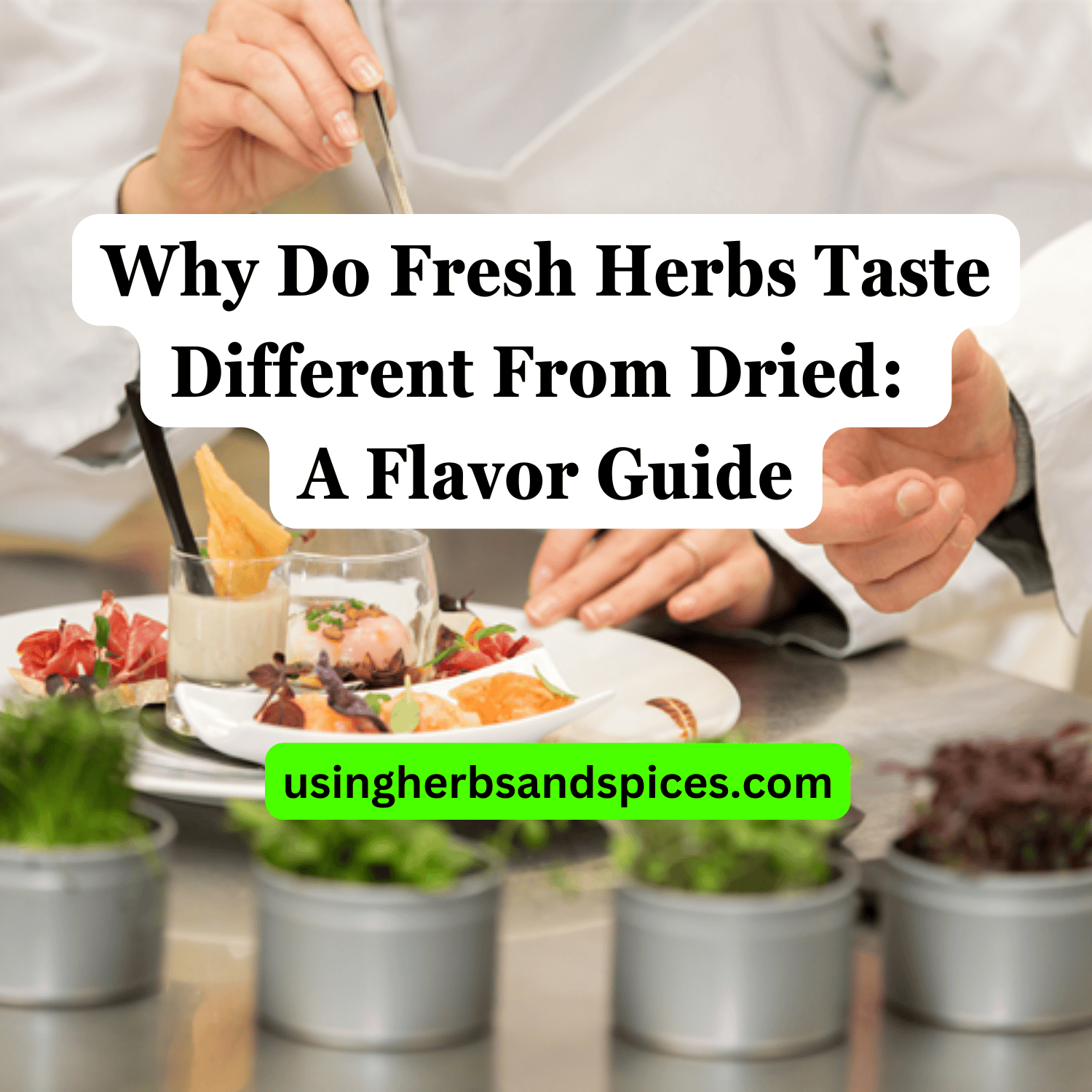 Why Do Fresh Herbs Taste Different From Dried: A Flavor Guide - Using ...