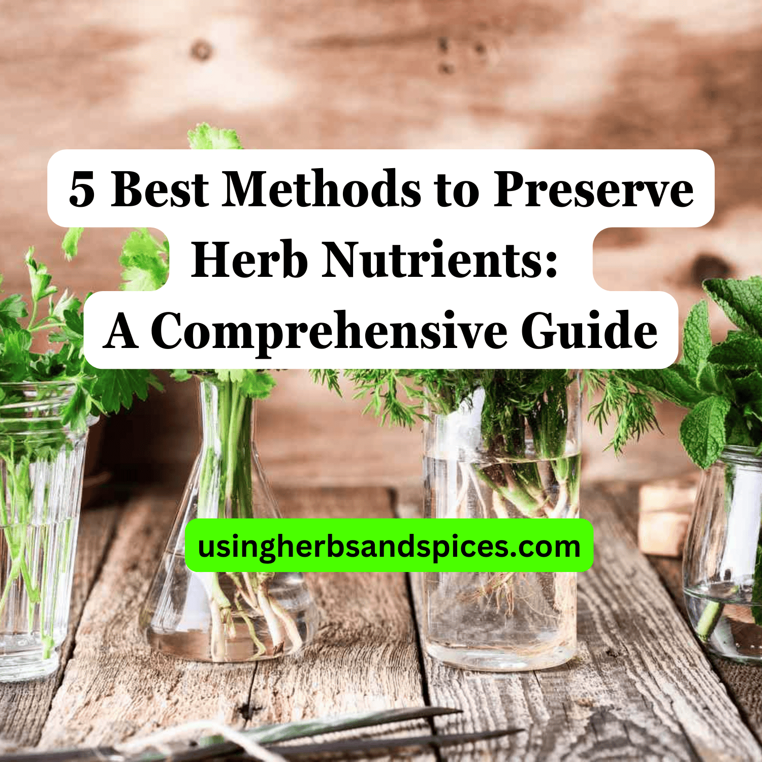 5 Best Methods to Preserve Herb Nutrients: A Comprehensive Guide ...