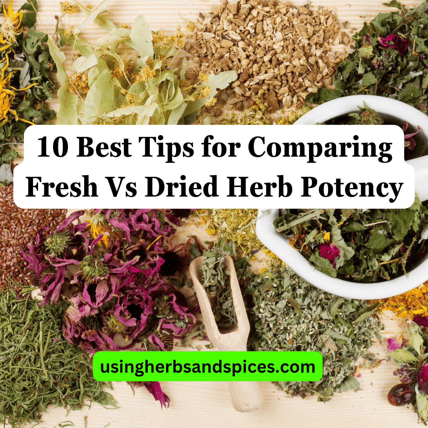10 Best Tips for Comparing Fresh Vs Dried Herb Potency - Using Herbs ...
