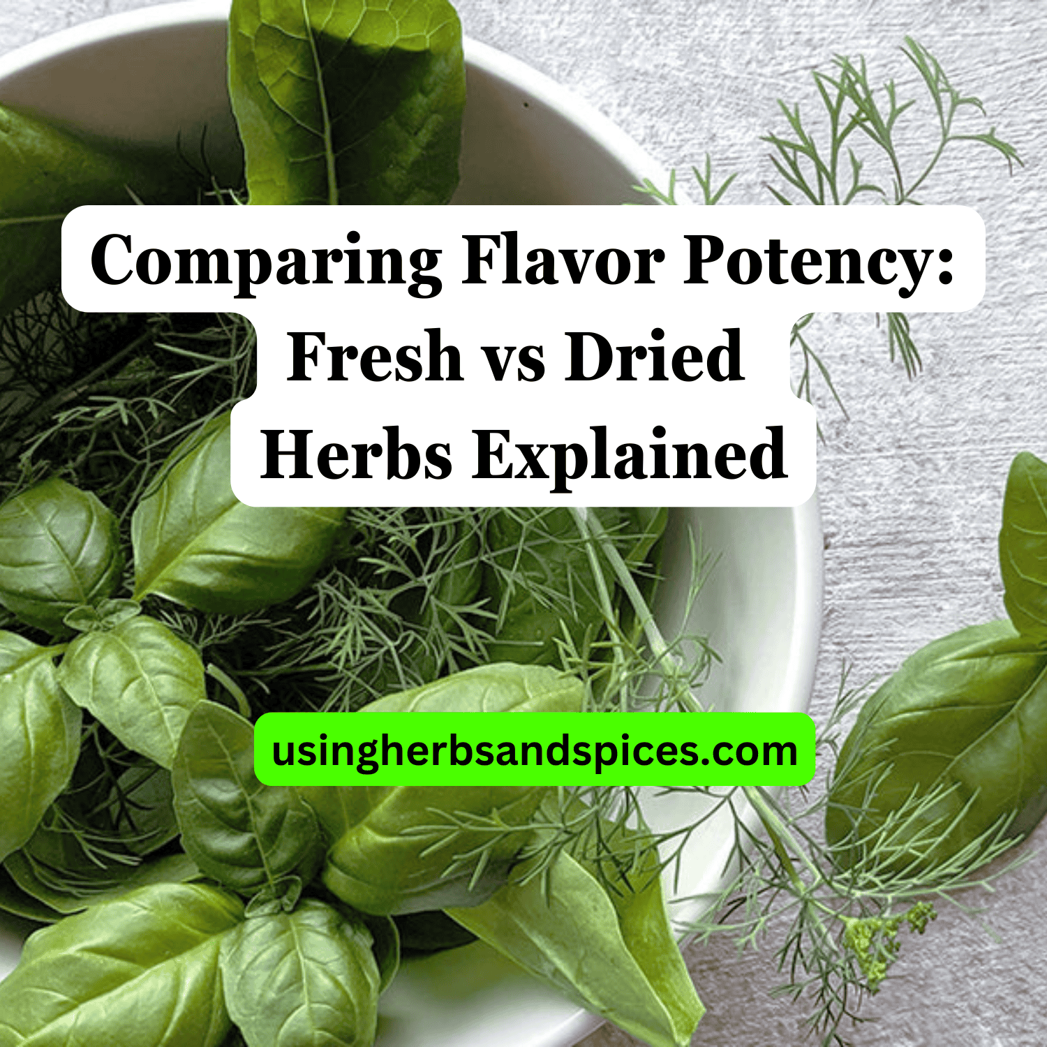 Comparing Flavor Potency: Fresh vs Dried Herbs Explained - Using Herbs ...