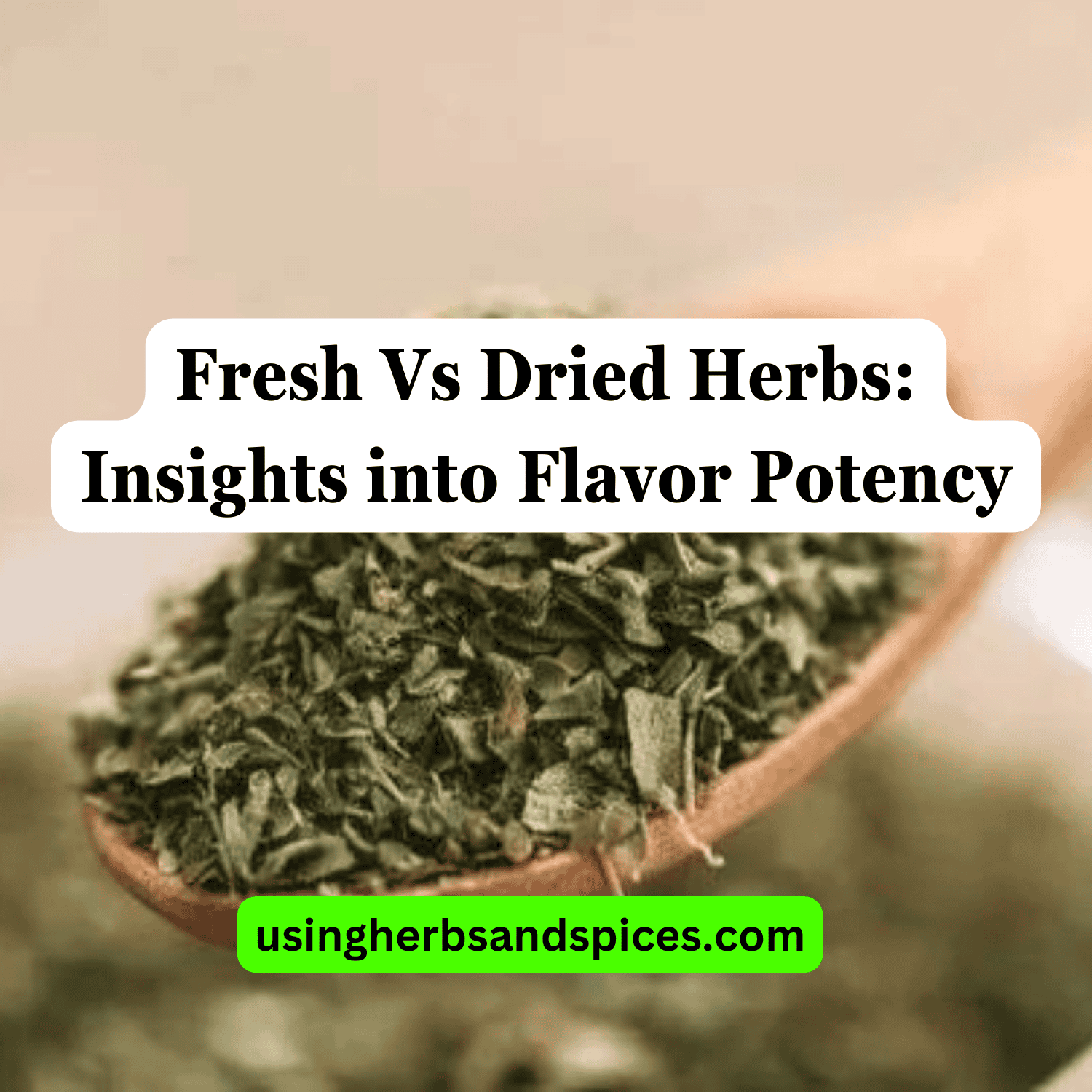 Fresh Vs Dried Herbs: Insights into Flavor Potency - Using Herbs & Spices