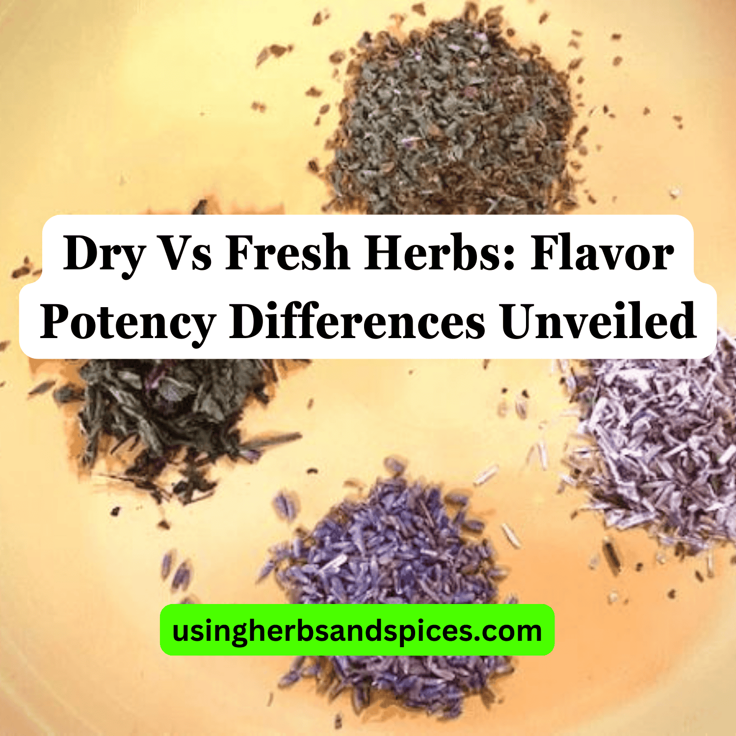 Dry Vs Fresh Herbs: Flavor Potency Differences Unveiled - Using Herbs ...