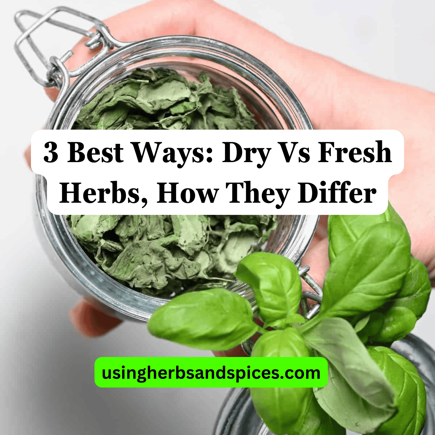3 Best Ways: Dry Vs Fresh Herbs, How They Differ - Using Herbs & Spices