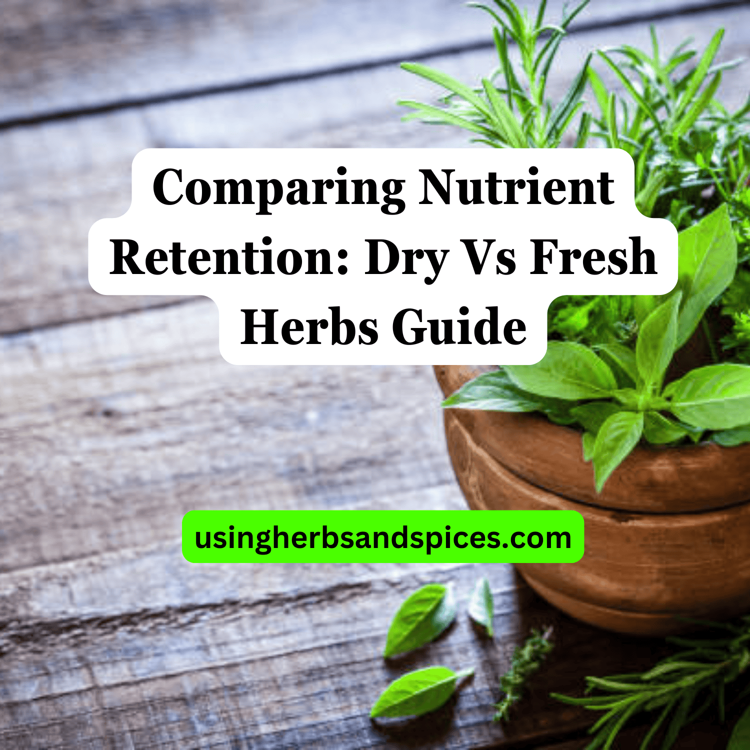 Comparing Nutrient Retention: Dry Vs Fresh Herbs Guide - Using Herbs ...