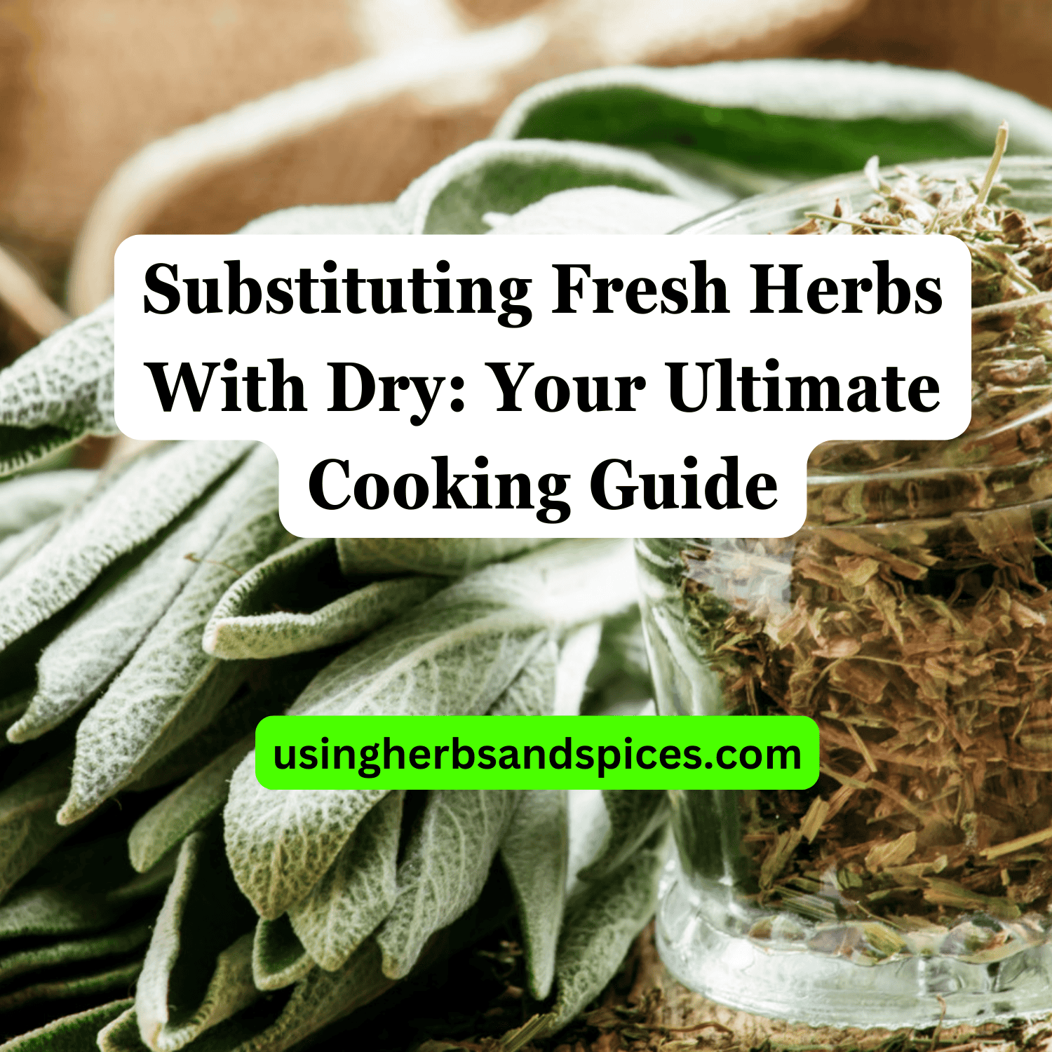 Substituting Fresh Herbs With Dry: Your Ultimate Cooking Guide - Using ...