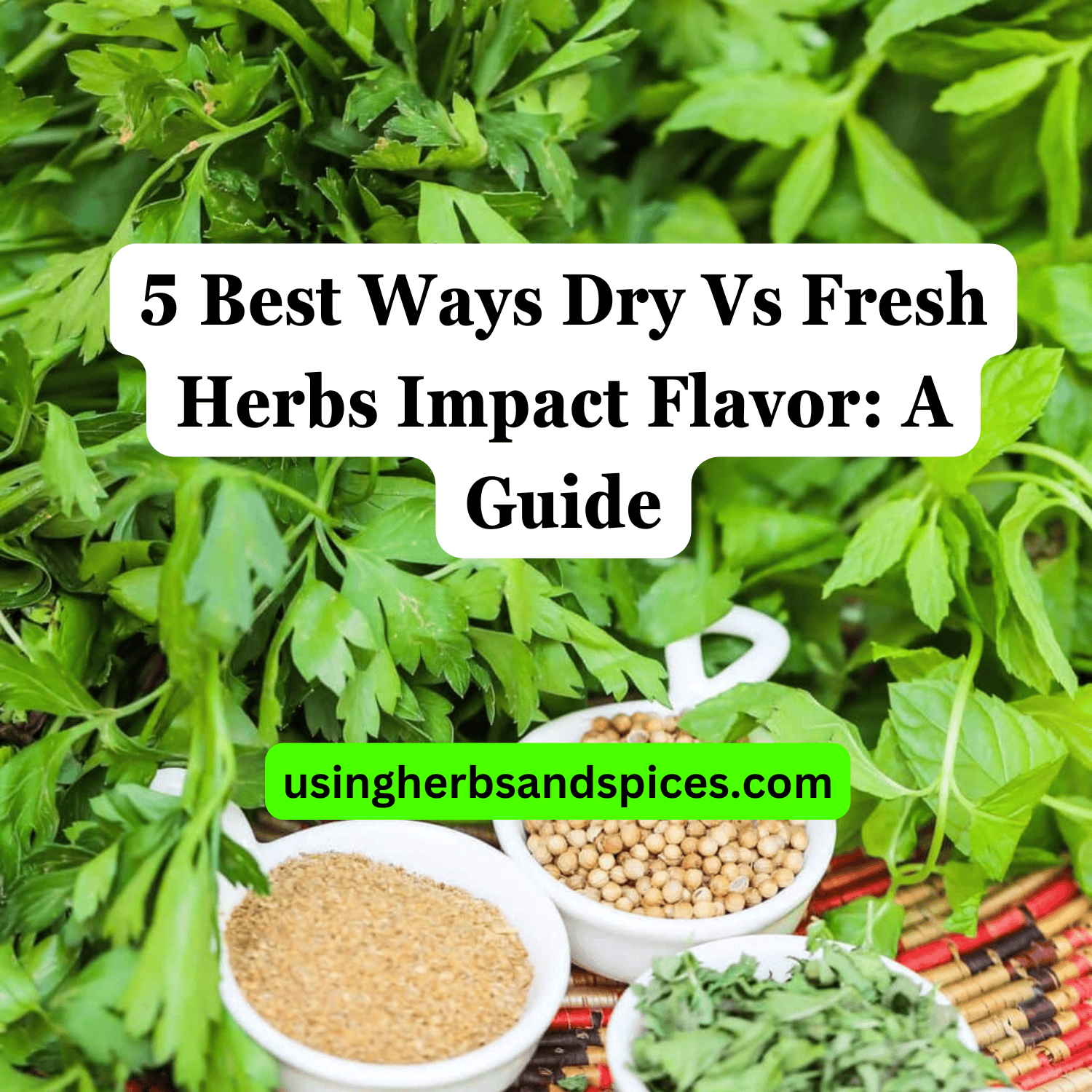 5 Best Ways Dry Vs Fresh Herbs Impact Flavor: A Guide - Using Herbs ...