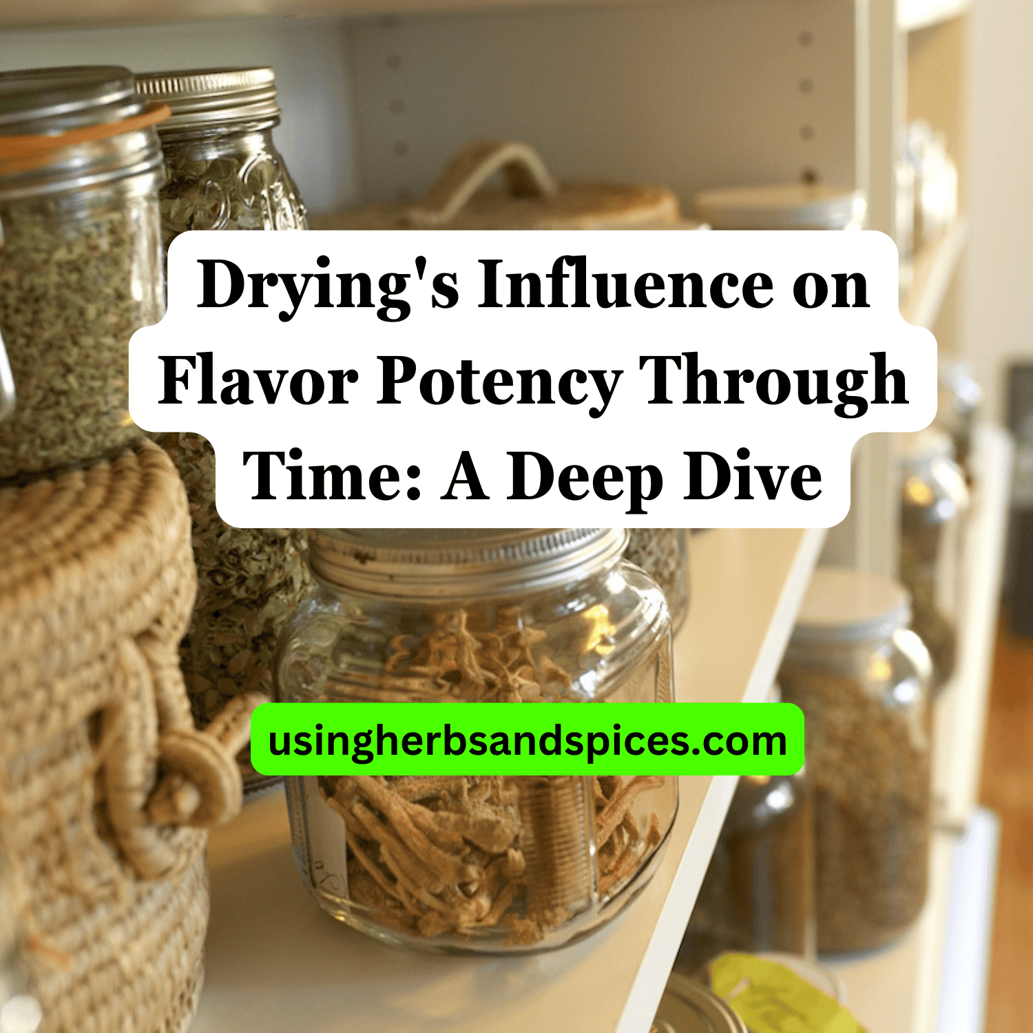 Drying's Influence on Flavor Potency Through Time: A Deep Dive - Using ...