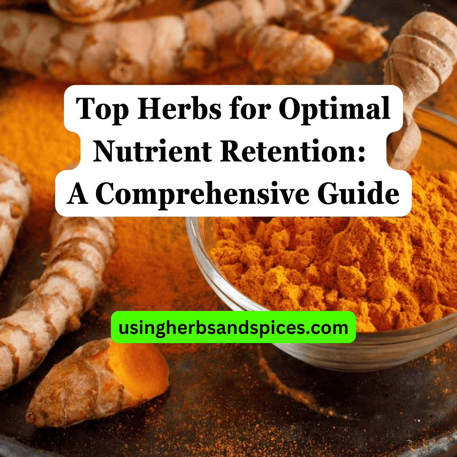 Top Herbs for Optimal Nutrient Retention: A Comprehensive Guide - Using ...